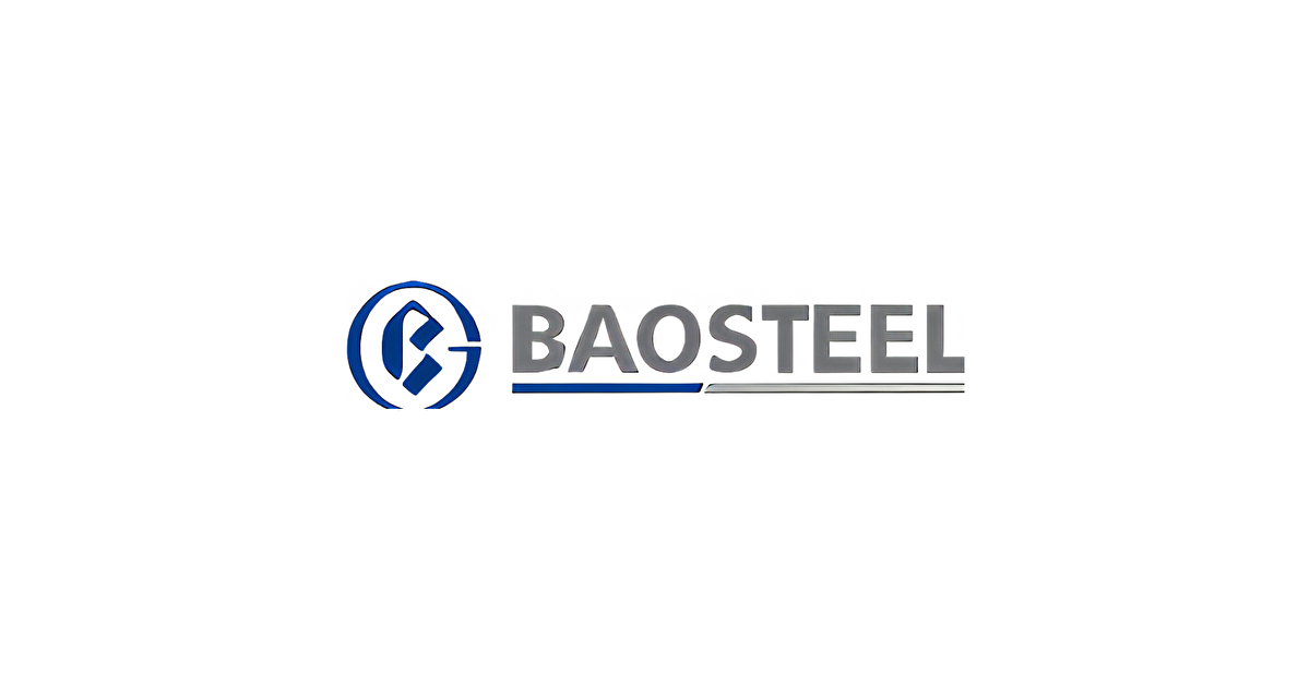 BAOSTEEL TAILORED BLANKS ÇELİK LİMİTED ŞİRKETİ Köprülü Gezer Vinç ...