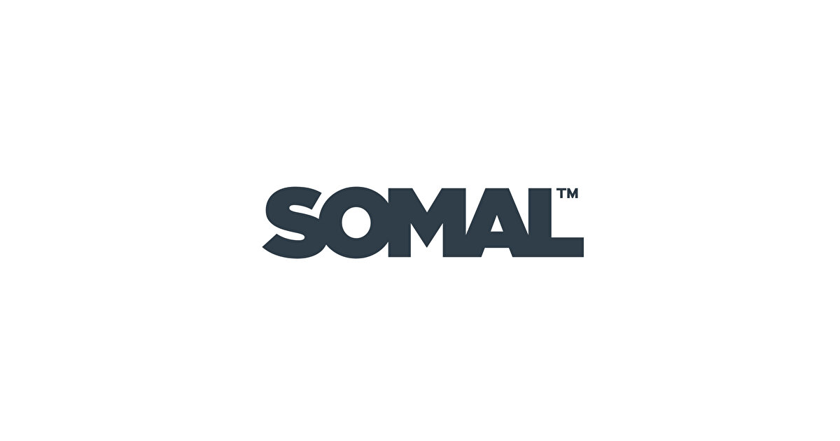 Somal Sac San. ve Tic. Ltd. Şti. Dış Ticaret Sorumlusu İş İlanı - 20.03 ...