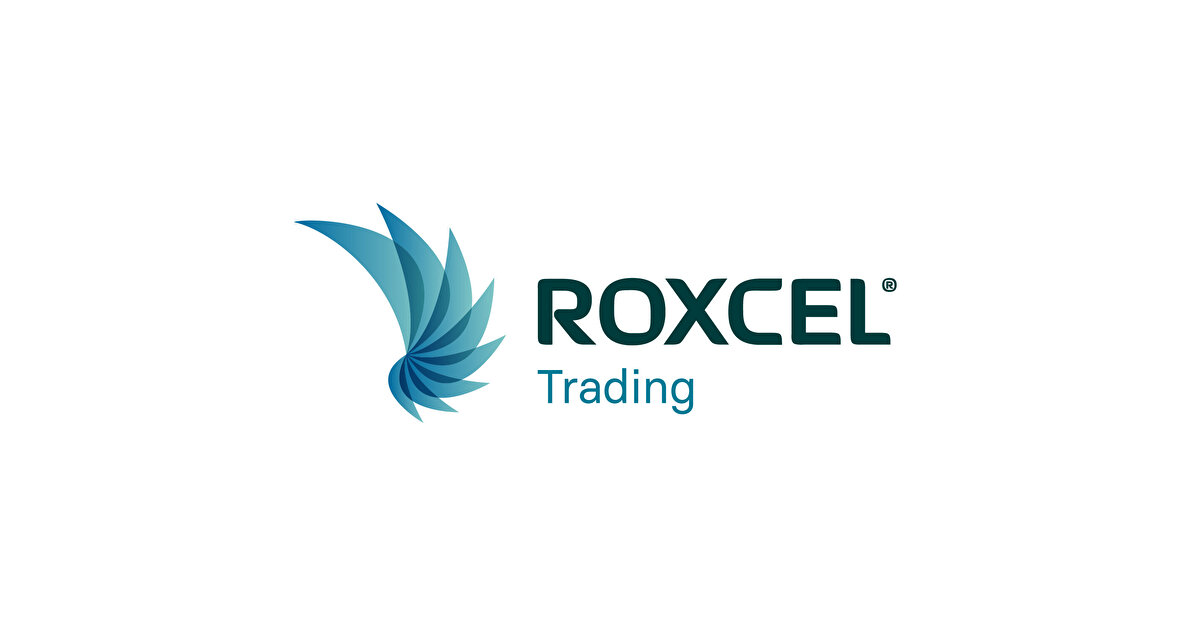 Roxcel Kağıt Pazarlama ve Tic. ltd. Şti. Sales Support İş İlanı - 19.08 ...