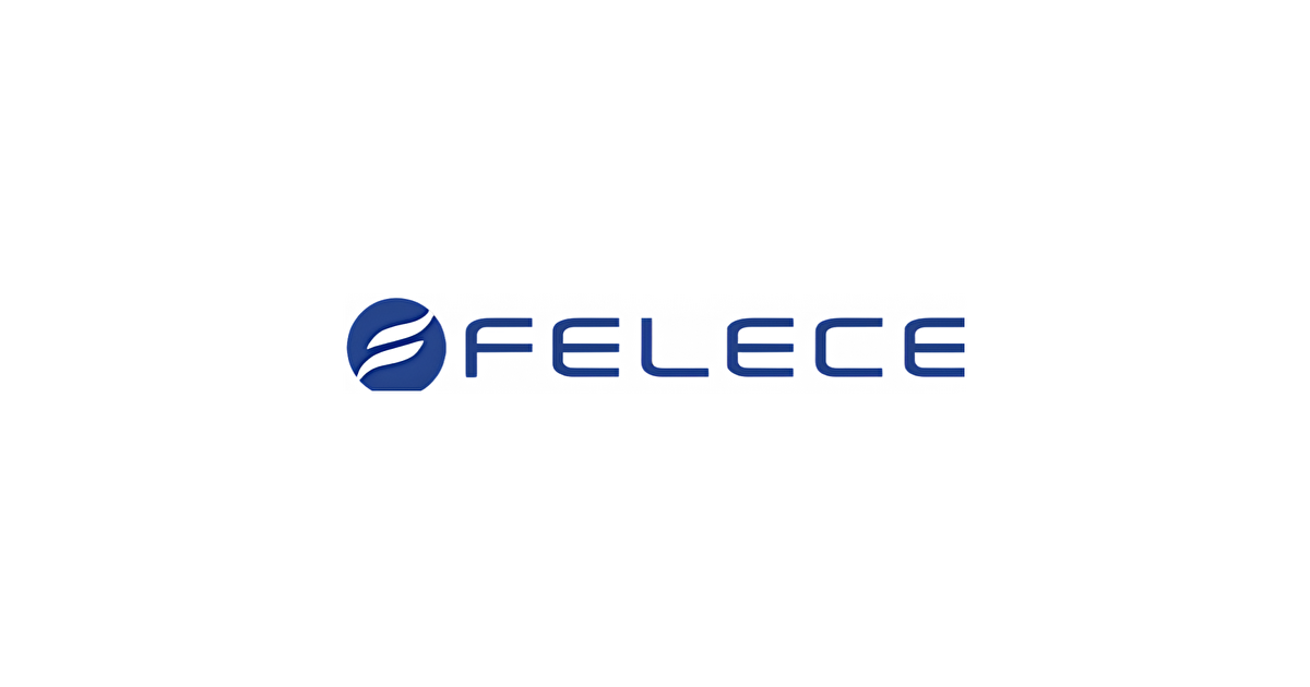 FELECE TEKNOLOJİ ANONİM ŞİRKETİ Yeni Mezun Programı İş İlanı - 09.02.2024