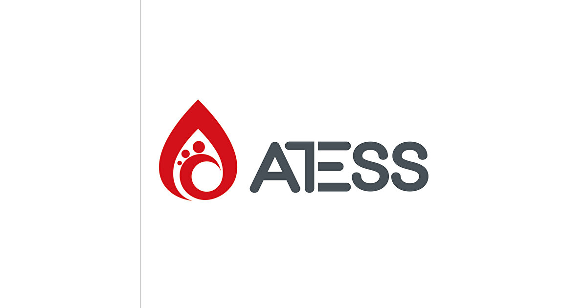 ATESS POWER ENERJİ TEKNOLOJİ LİMİTED ŞİRKETİ Technical Support Engineer ...