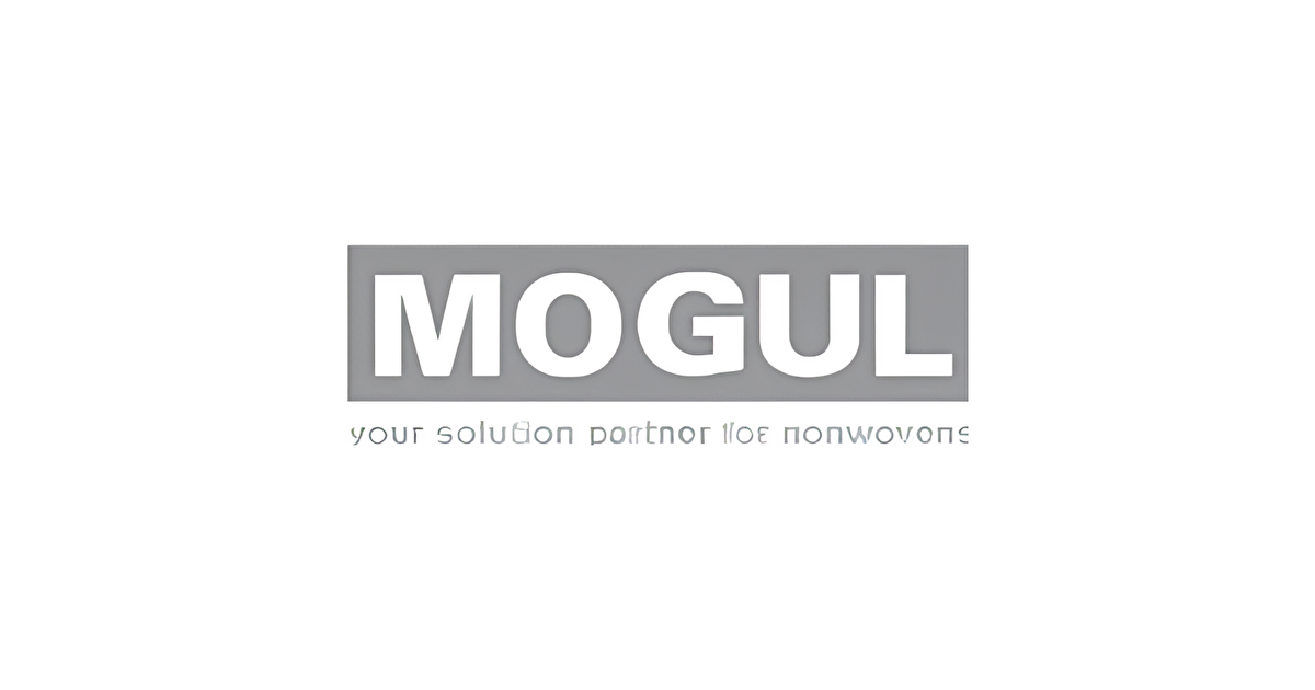 Mogul Tekstil Sanayi ve Ticaret Anonim Şirketi Mekanik Bakım Müdürü İş ...
