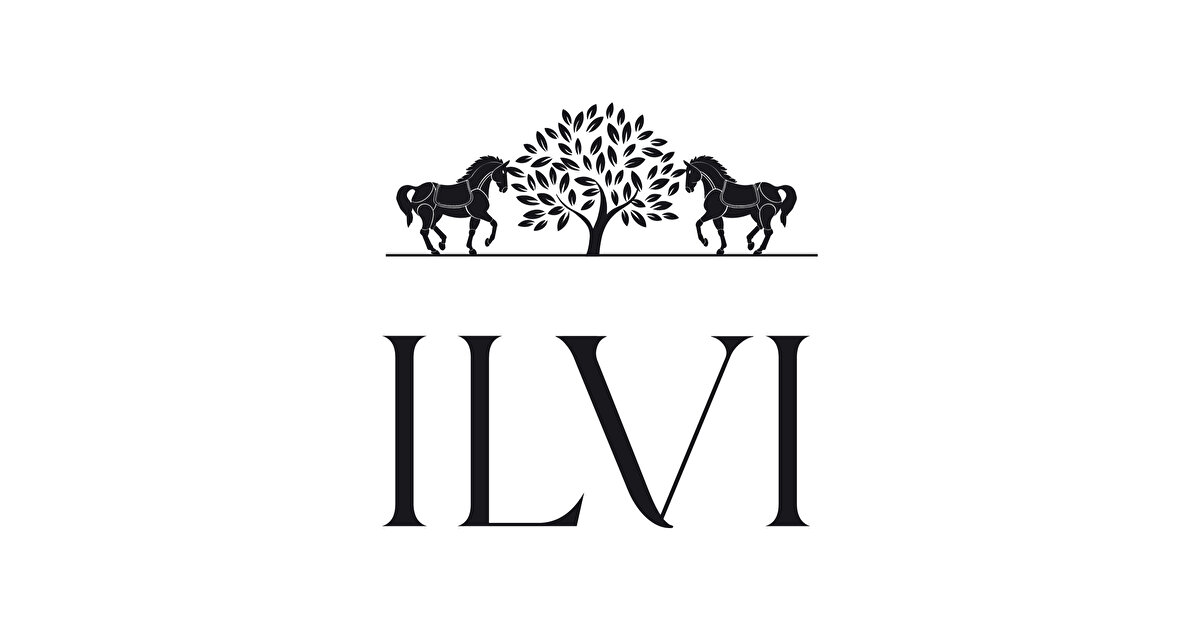 İLVİ Ayakkabı Deri ve Tekstil Ürünleri San.ve Tic.A.Ş Muhasebe Elemanı ...