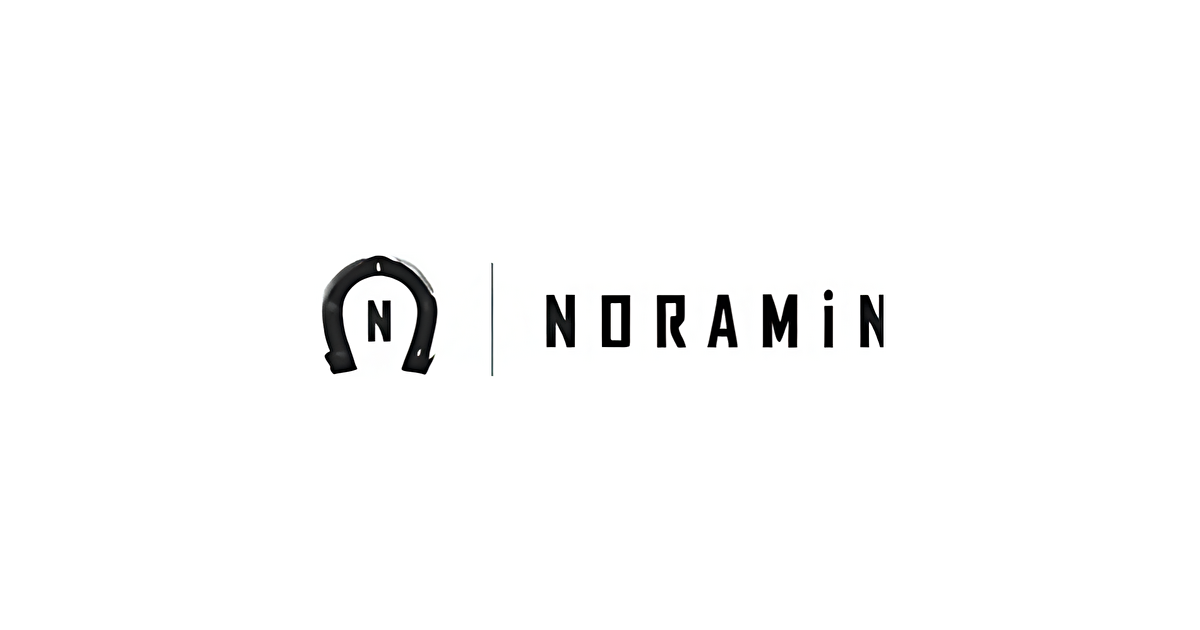 Noramin İş Merkezi Yönetimi Elektrik Teknikeri İş İlanı - 16.08.2024