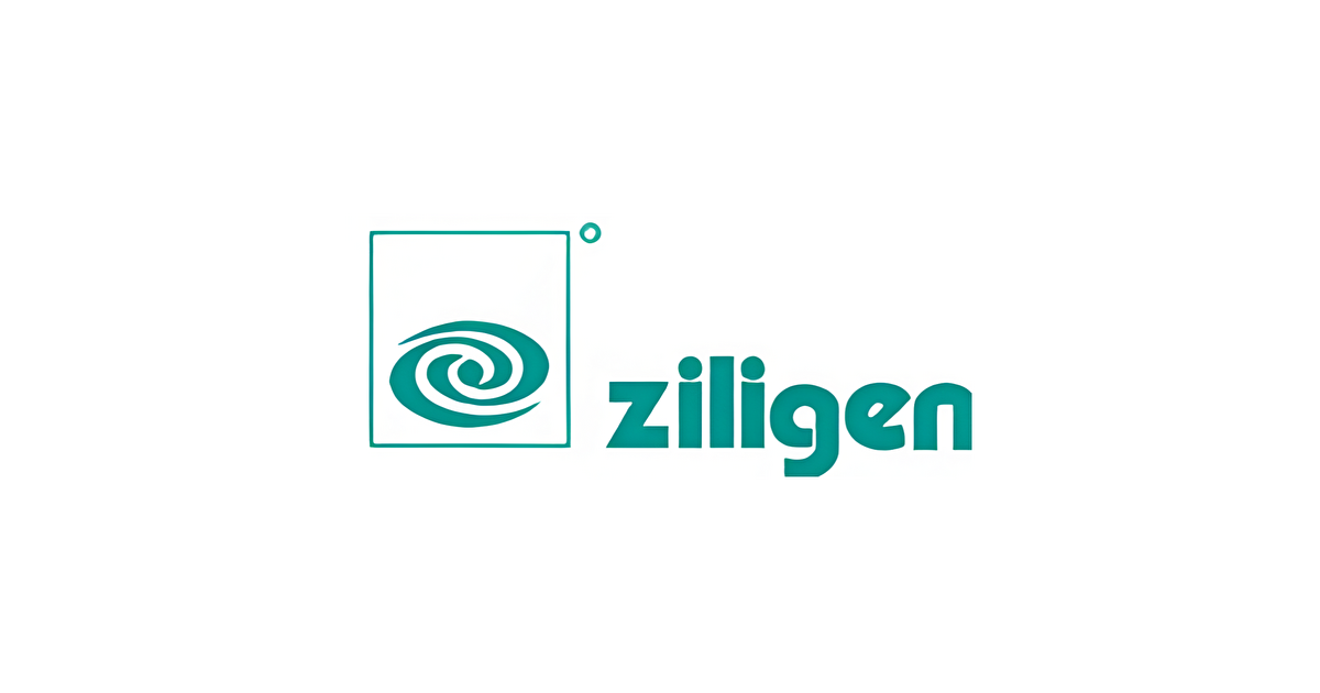 ZİLİGEN KAYIŞ PAZARLAMA SAN. TİC. A.Ş. Üretim Mühendisi İş İlanı - 28. ...