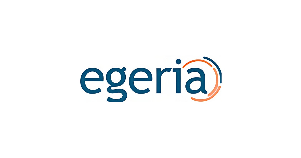 Egeria Yazılım ve Danışmanlık Hizmetleri ERP Uygulama Danışmanı İş ...