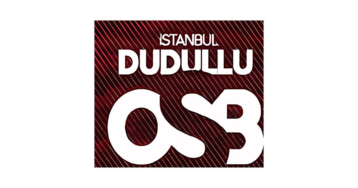 İstanbul Dudullu Organize Sanayi Bölge Müdürlüğü Muhasebe Uzmanı İş ...