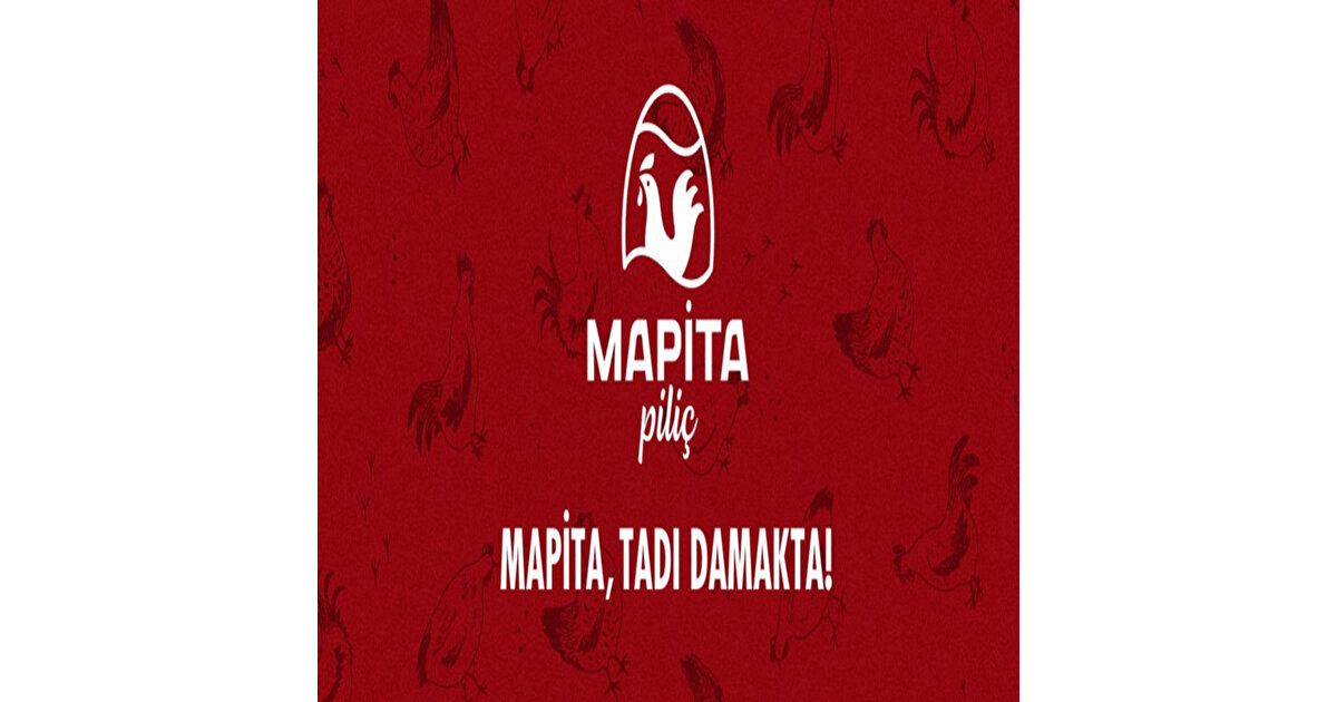 Mapita Plasiyer İş İlanı - 30.10.2024