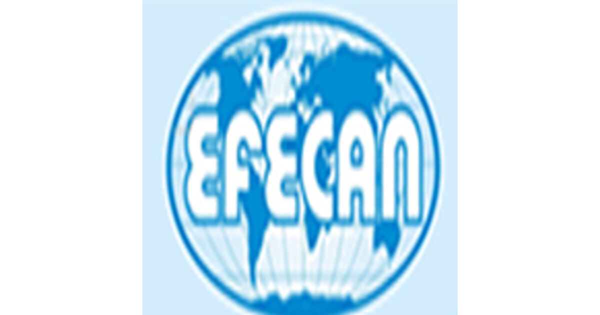 EFECAN SERVİS EKİPMANLARI BOYA KABİNLERİ SANAYİ VE TİCARET LİMİTED ...