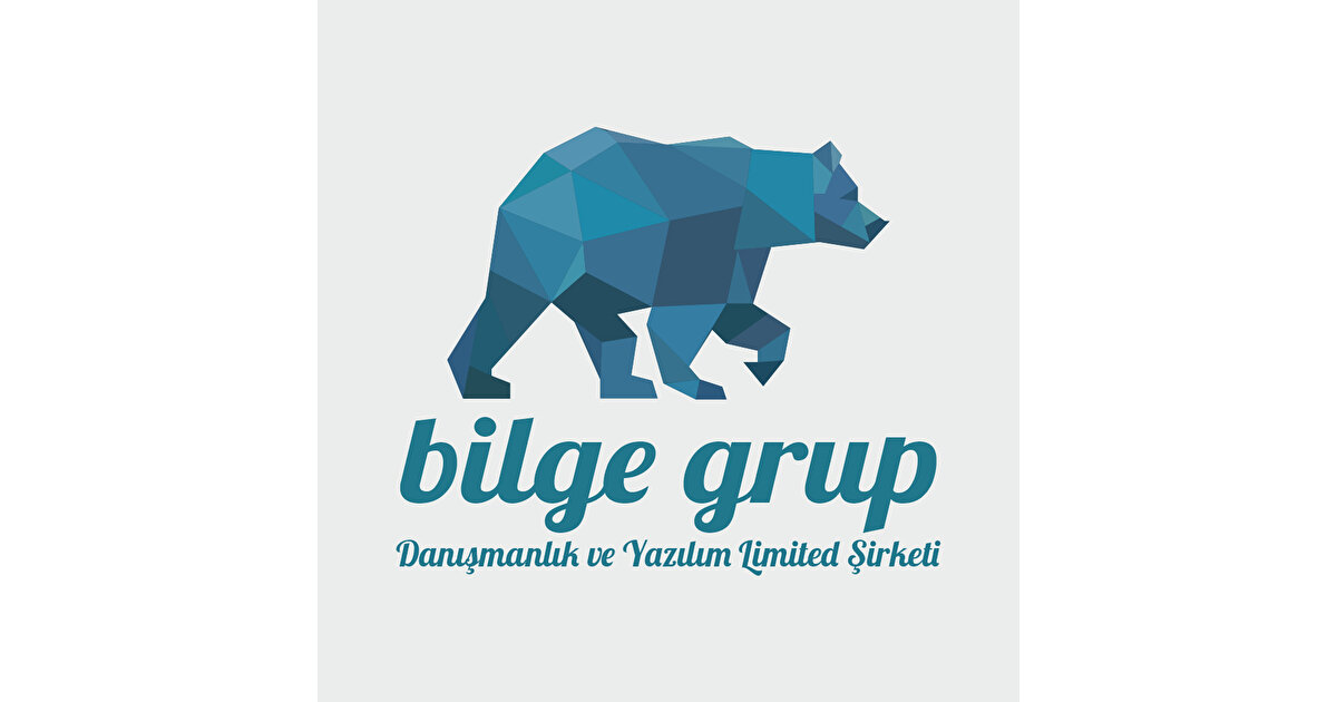 BİLGE GRUP DANIŞMANLIK VE YAZILIM LİMİTED ŞİRKETİ Uzaktan Çalışacak ...