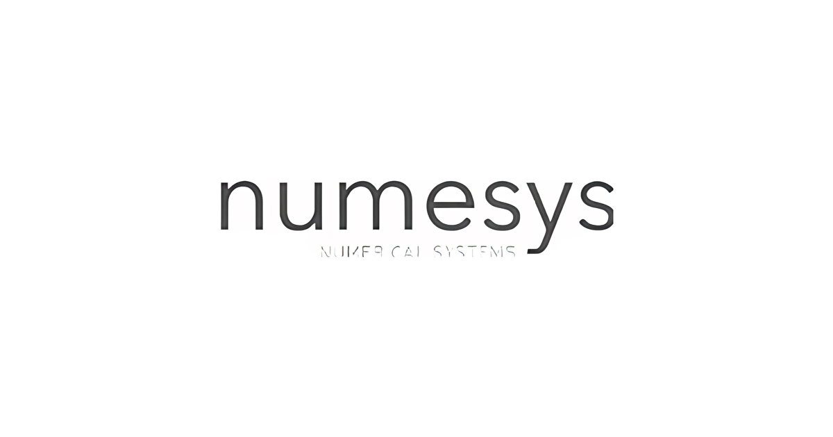 NUMESYS İLERİ MÜHENDİSLİK HİZMETLERİ ANONİM ŞİRKETİ Satın Alma Uzmanı İş İlanı - 10.02.2025