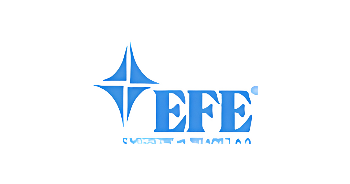 Efe Endüstri ve Tic. A.Ş. ERP Proje Mühendisi İş İlanı - 19.02.2024