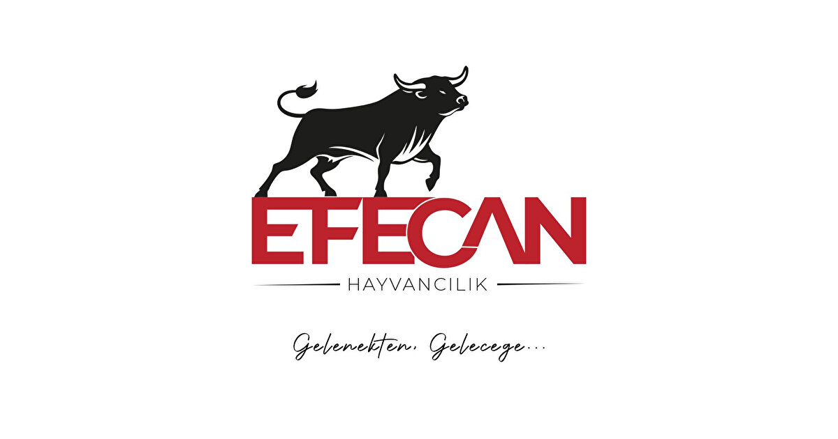 efecan hayvancılık tarım gıda san tic ltd şti Muhasebe ve Finans Uzmanı ...