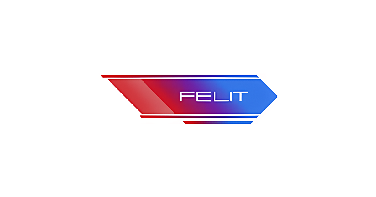 FELİT DIŞ TİCARET LİMİTED ŞİRKETİ Lojistik Uzmanı İş İlanı - 12.08.2025