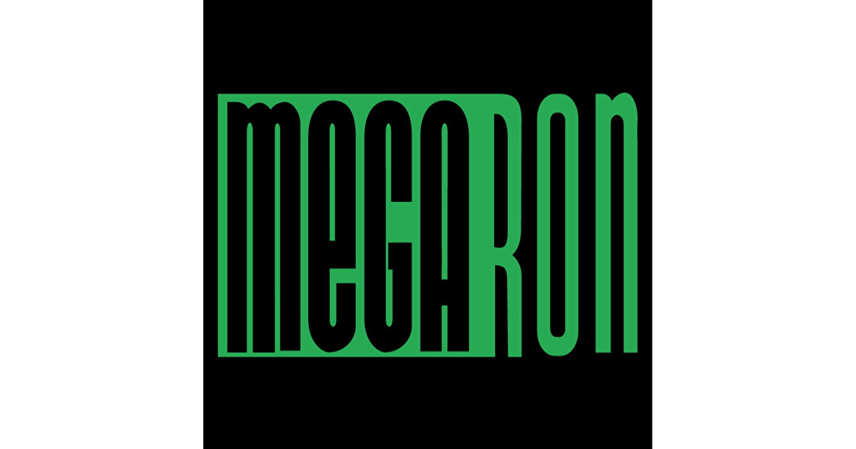 MEGARON İNŞ.SAN.VE TİC.LTD.ŞTİ. Şirket Şoförü İş İlanı - 06.07.2025