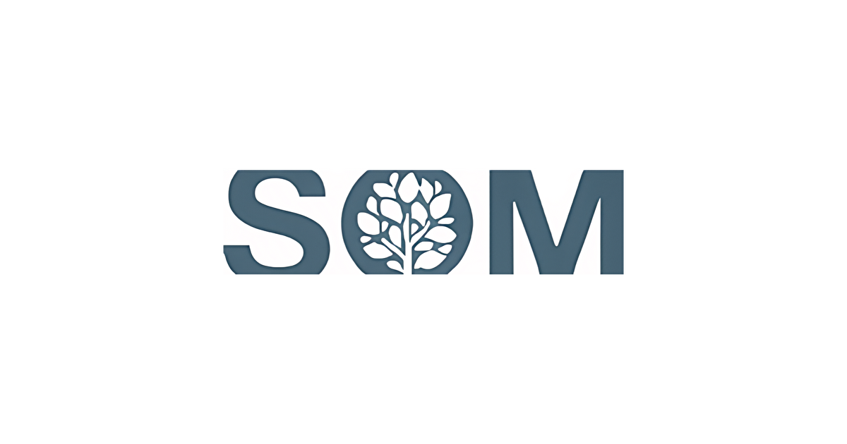SOM İNVESTMENT ENERJİ İNŞAAT DEMİRYOLU ENDÜSTRİSİ SANAYİ VE TİCARET ...