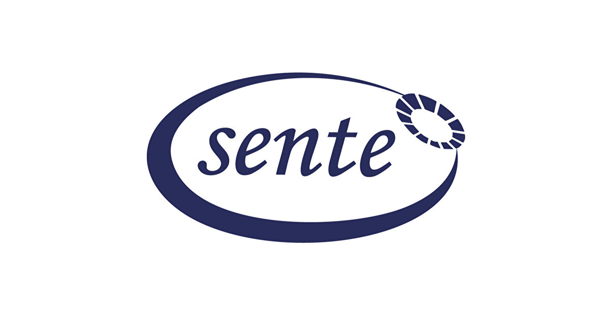 Sente Makina İnşaat San. Tic. Ltd. Şti. Ön Muhasebe Elemanı İş İlanı ...