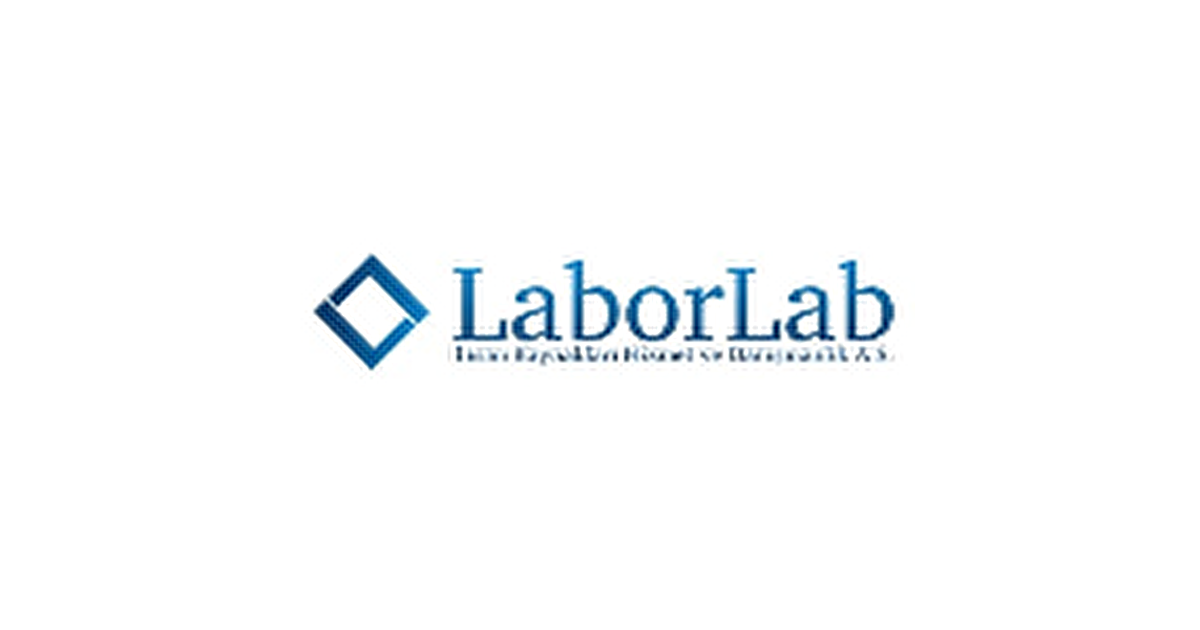 LaborLab İnsan Kaynakları Muhasebe Şefi İş İlanı - 26.01.2026